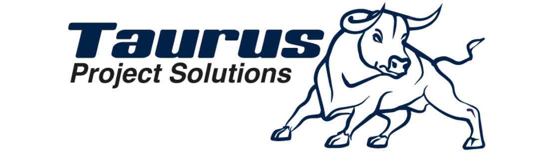 Project Delivery Masterclass Online Training