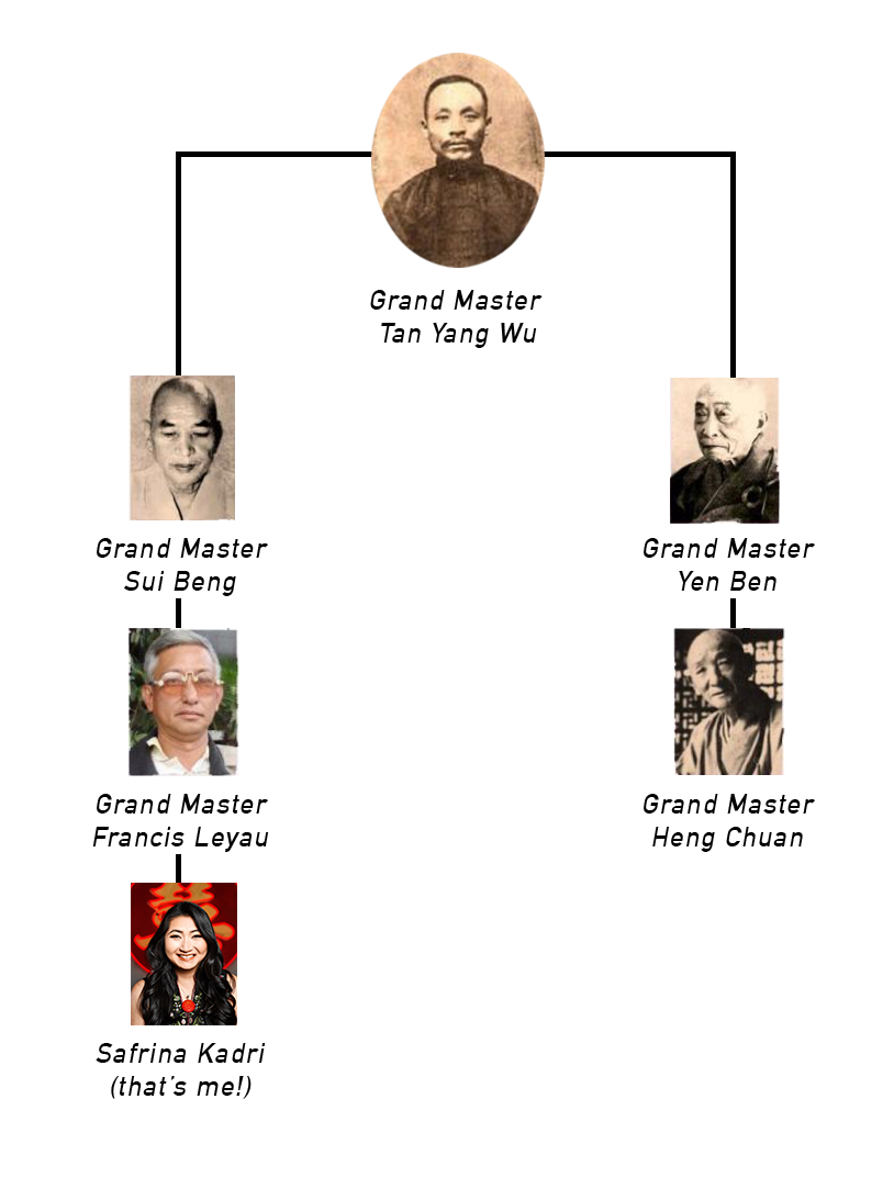 Flying Star Online Certification