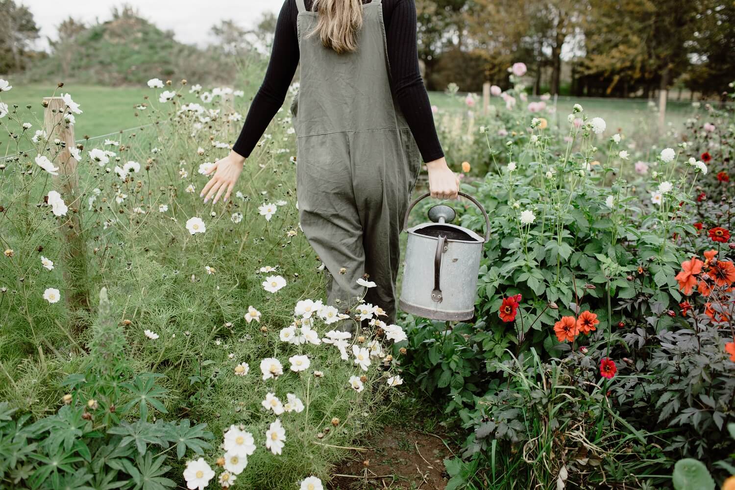 Cutting Patch Course from Field Gate Flowers