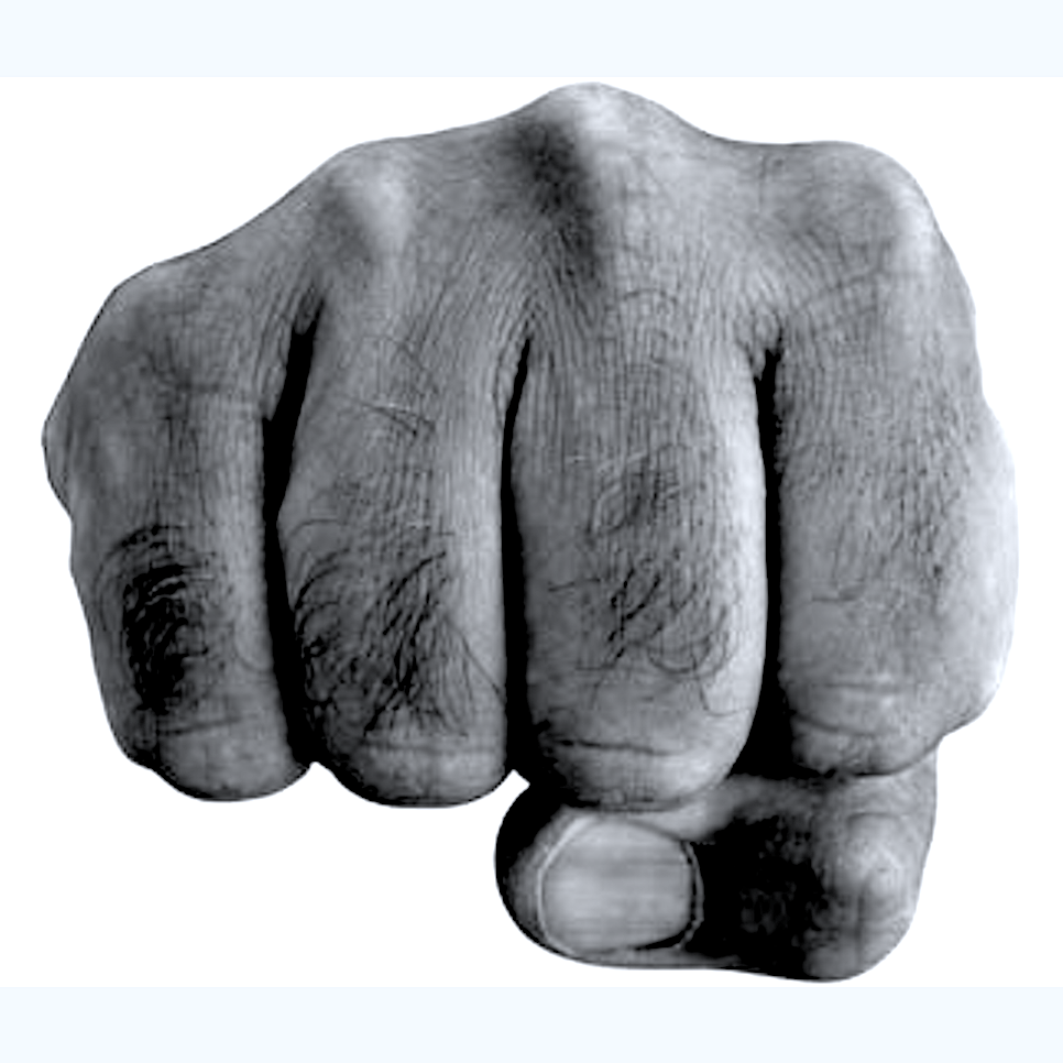 KANSAS CITY CHAOS COMBATIVES