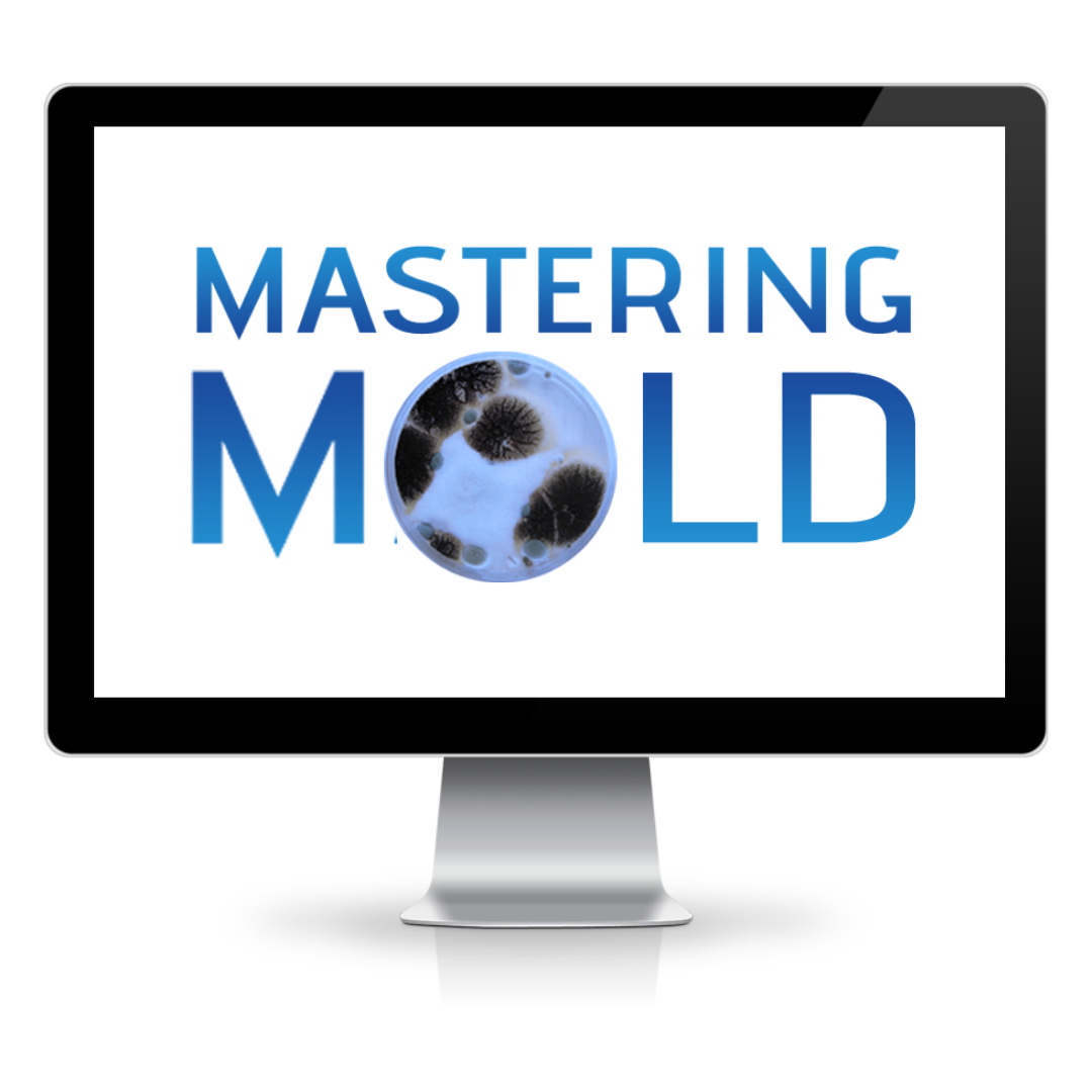 Mastering Mold