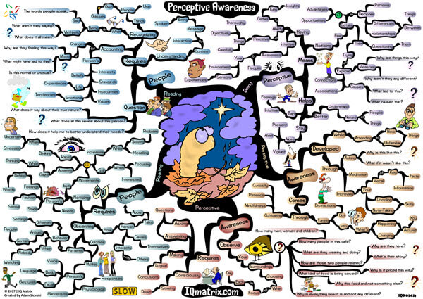 Emotional Intelligence - Bundle