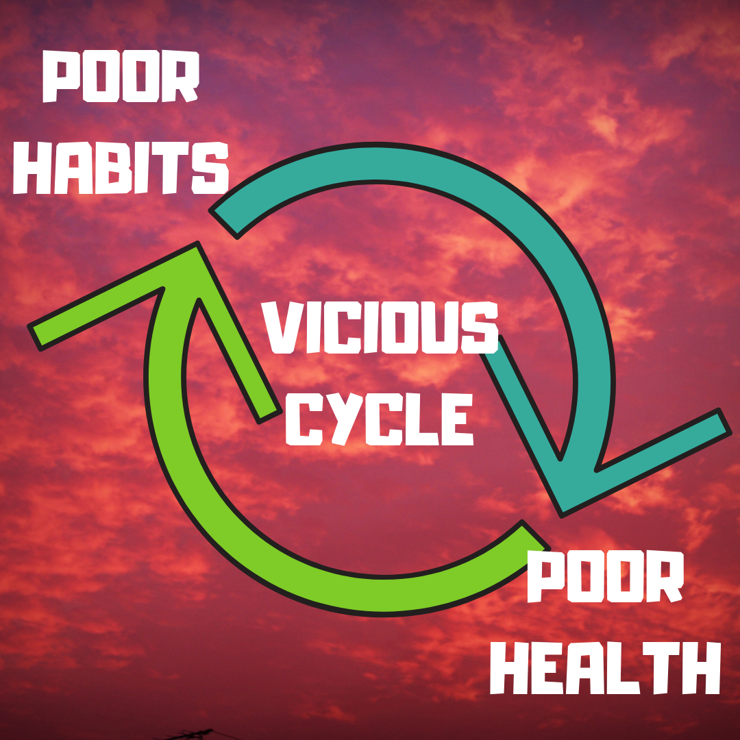 Virtuous Vitality Coaching