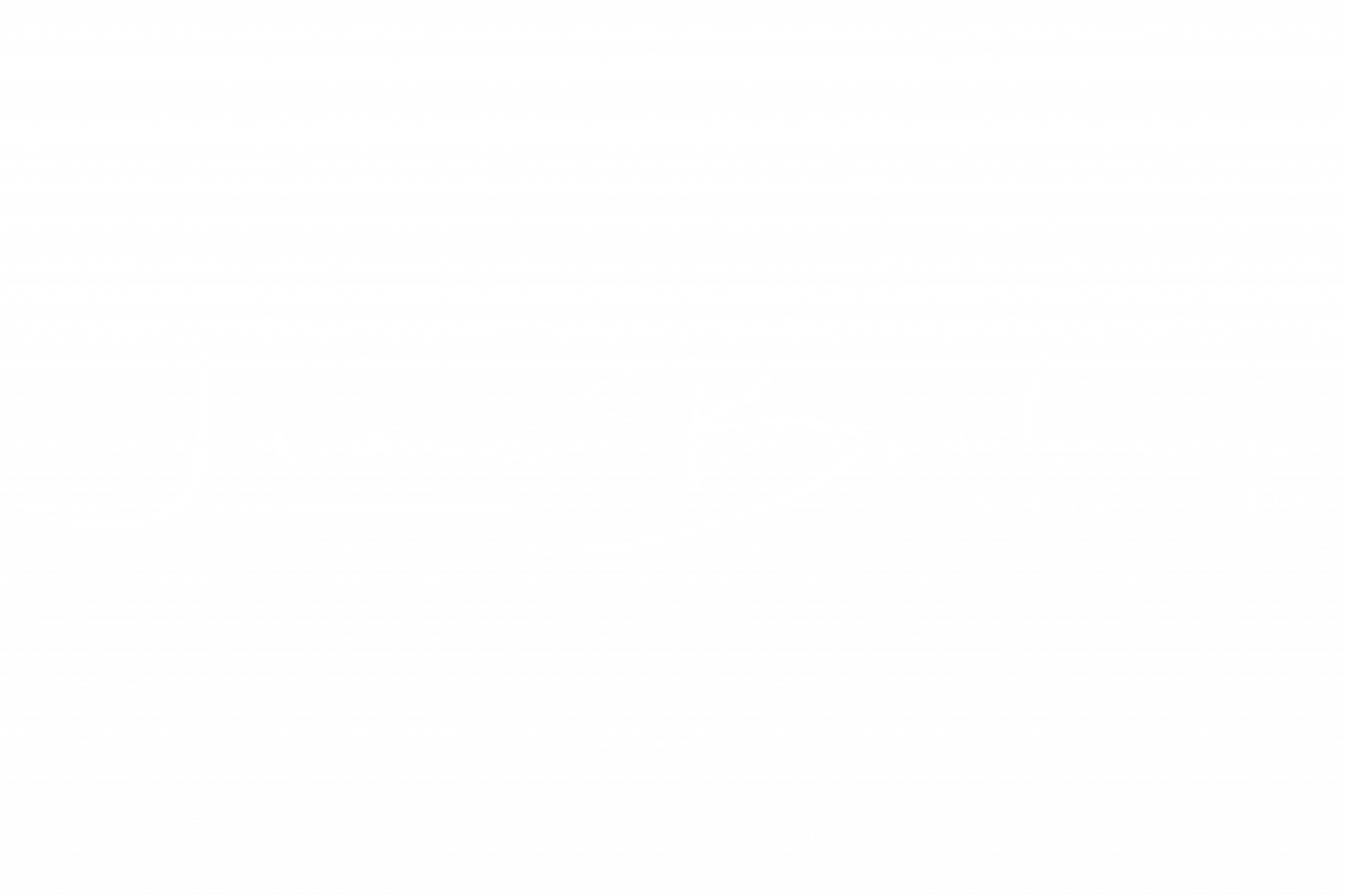 Liam Boehm - Silence Tinnitus Now