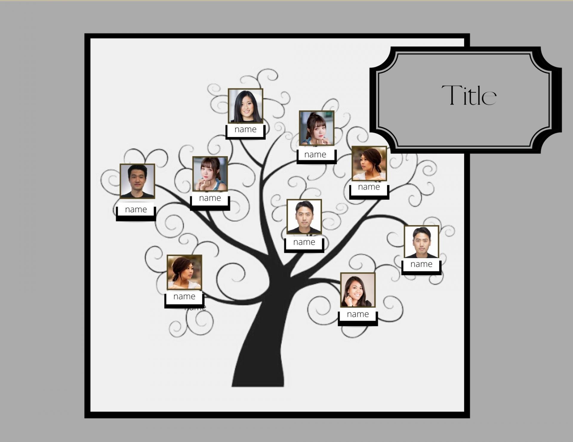 Trees and Charts Collection A DL