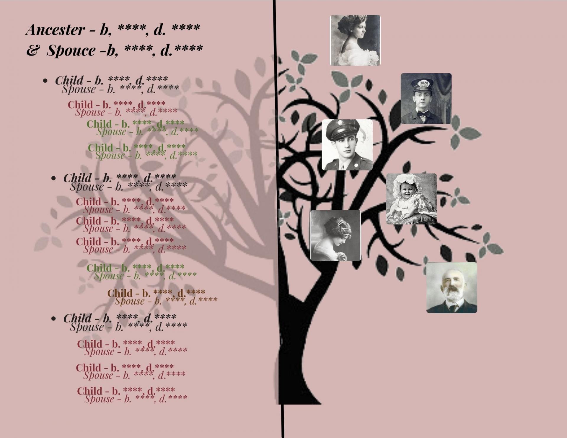 Trees and Charts Collection A DL