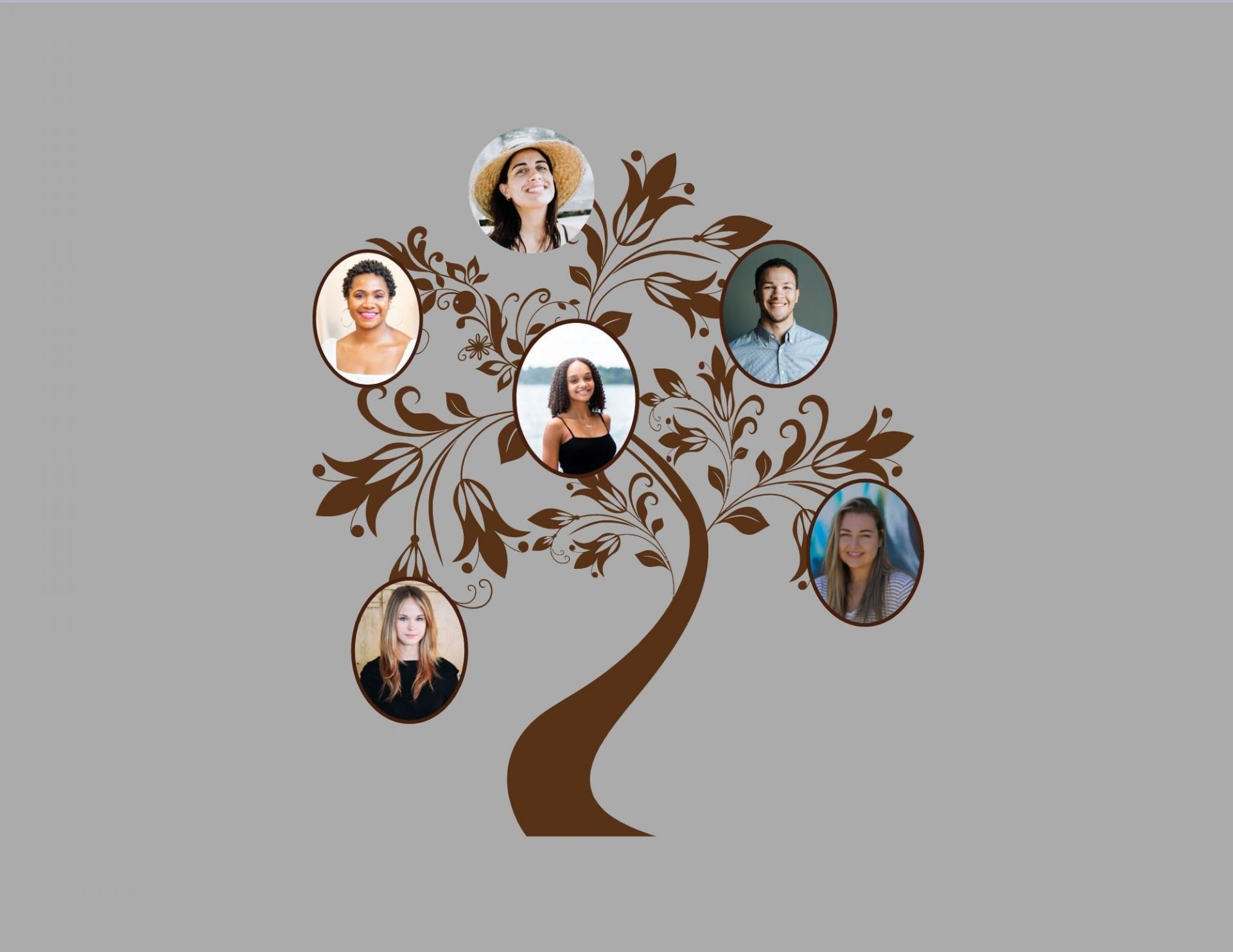 Trees and Charts Collection A DL