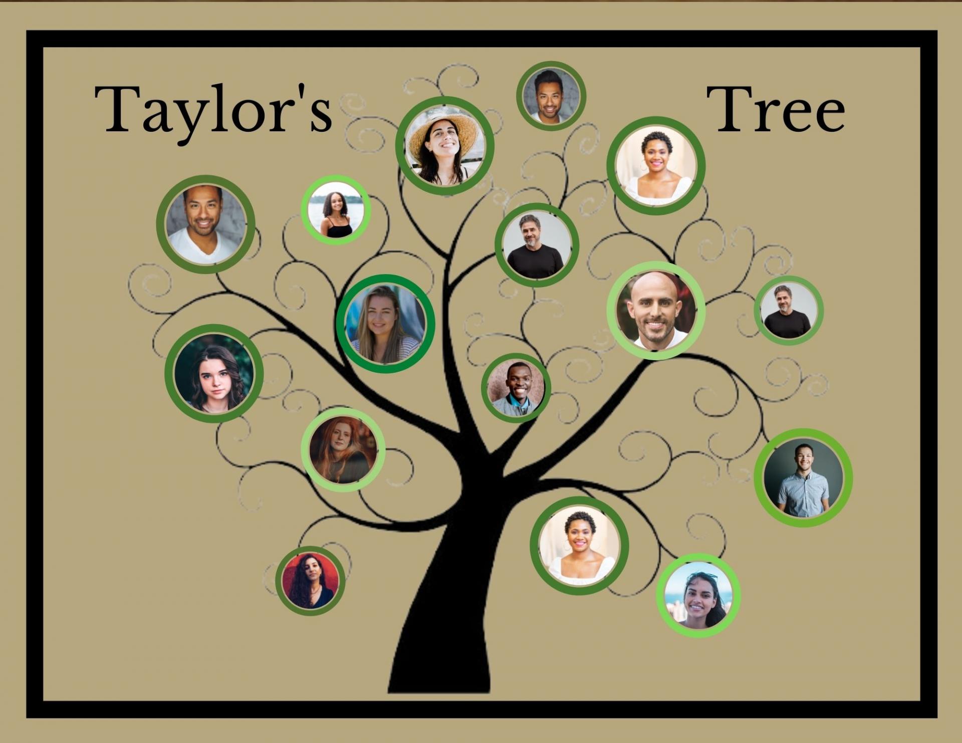 Trees and Charts Collection A DL