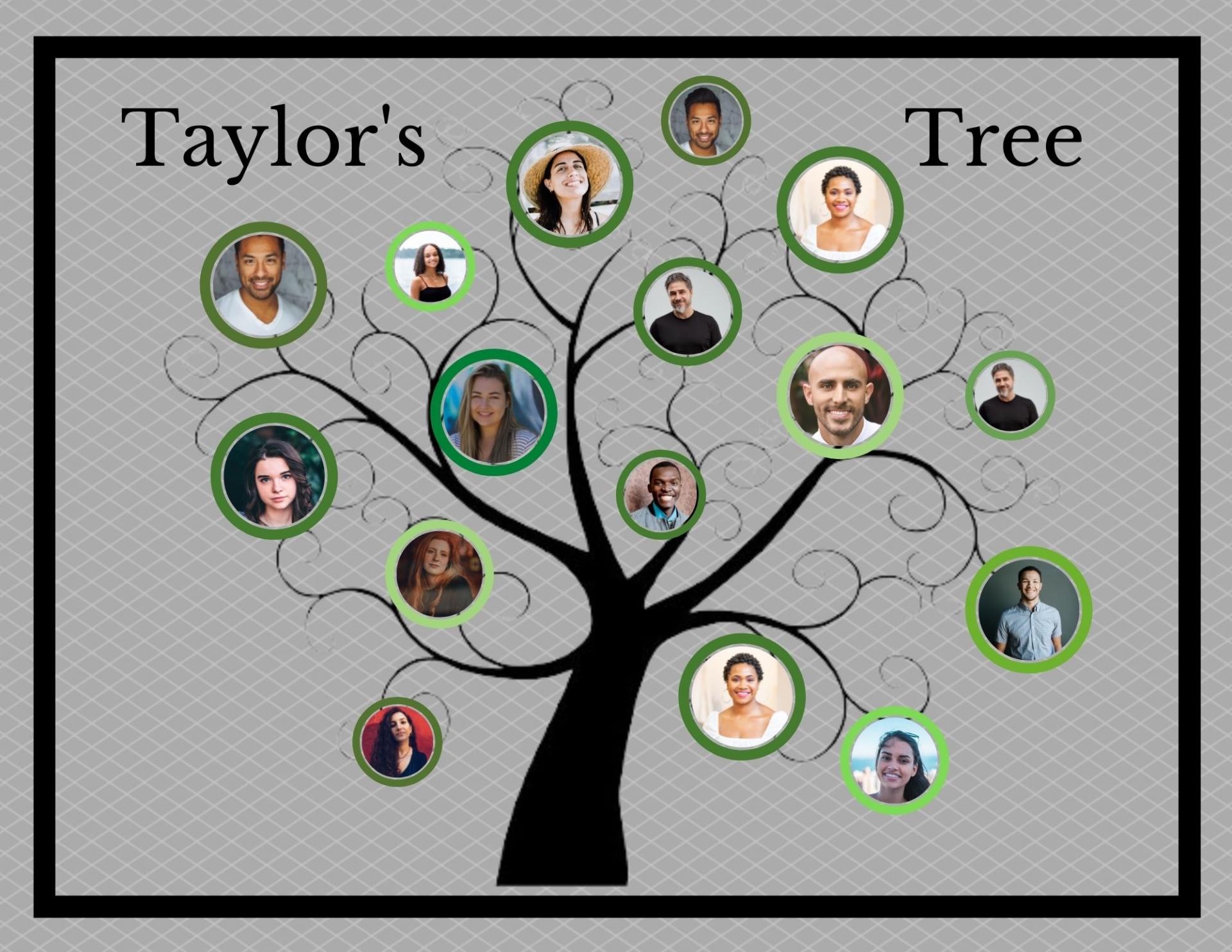 Trees and Charts Collection A DL