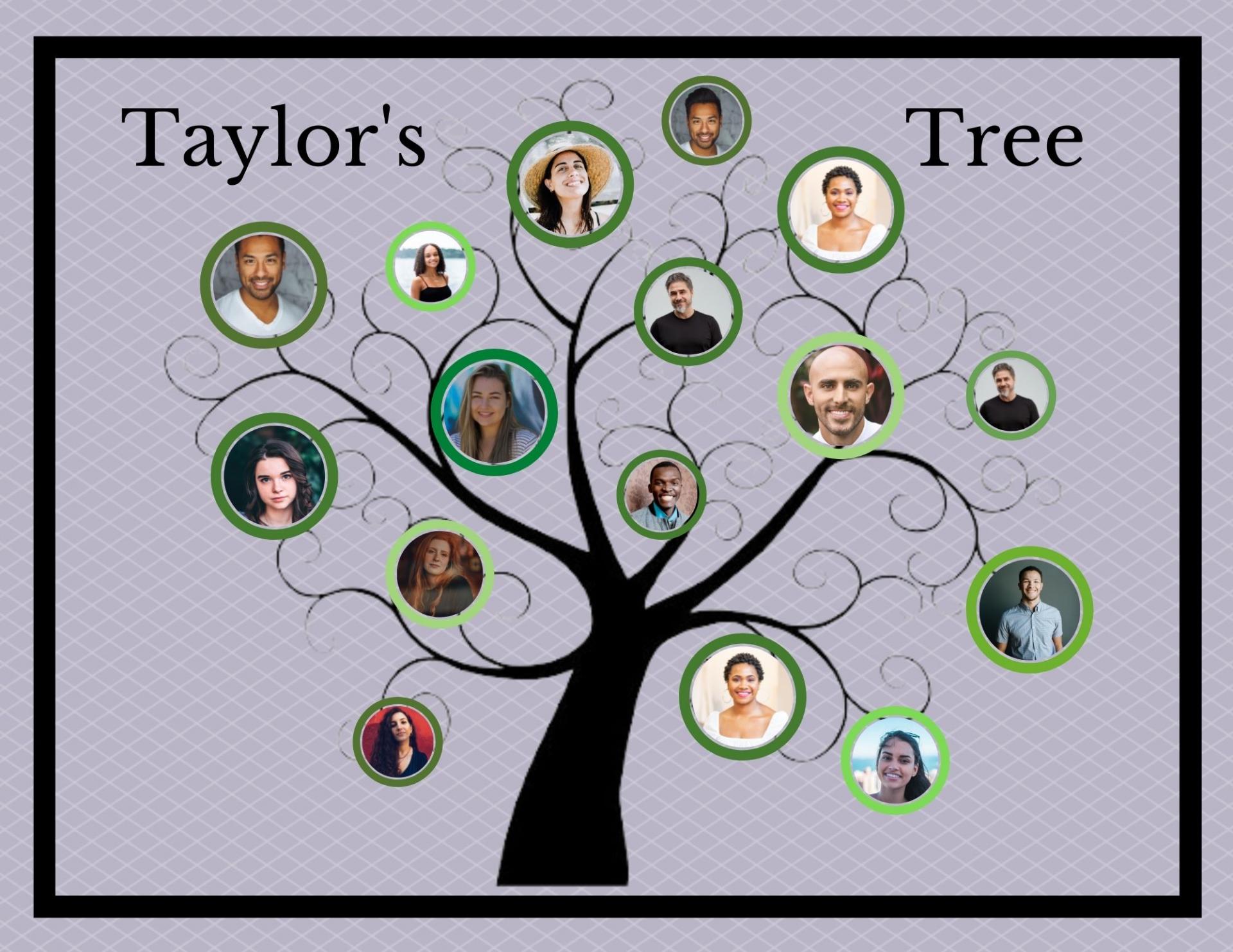 Trees and Charts Collection A DL