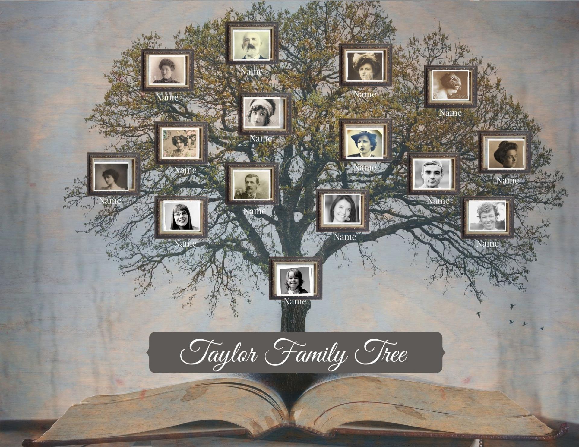 Trees and Charts Collection A DL