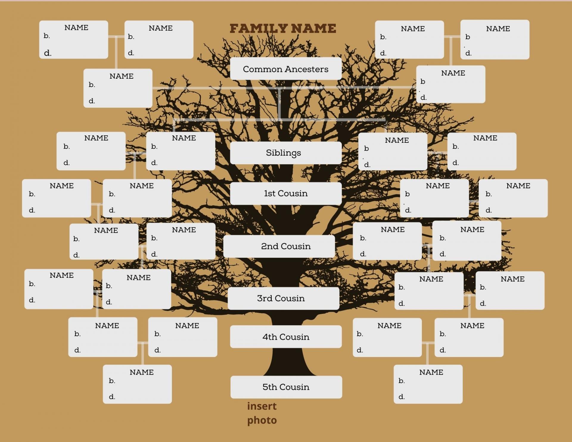 Trees and Charts Collection A DL