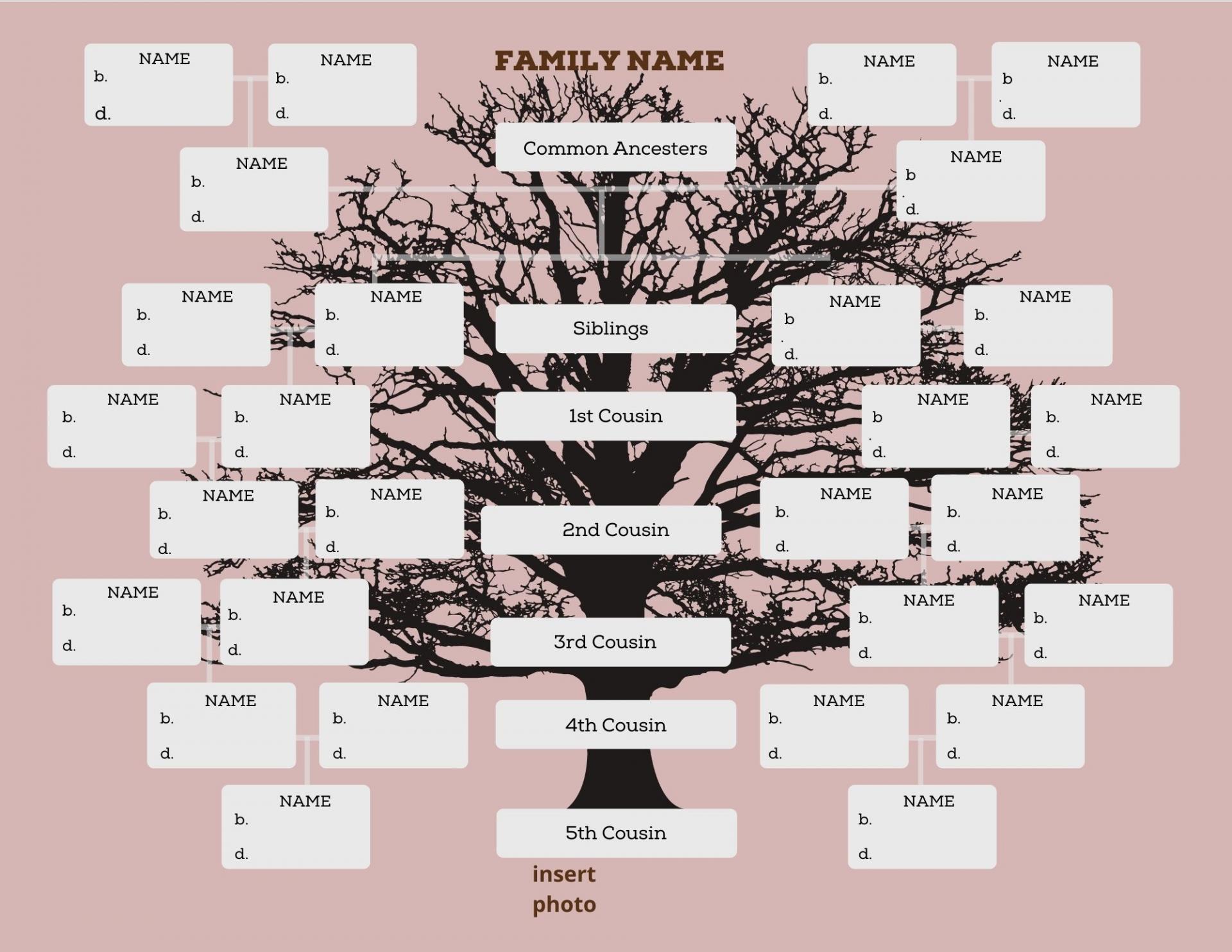 Trees and Charts Collection A DL