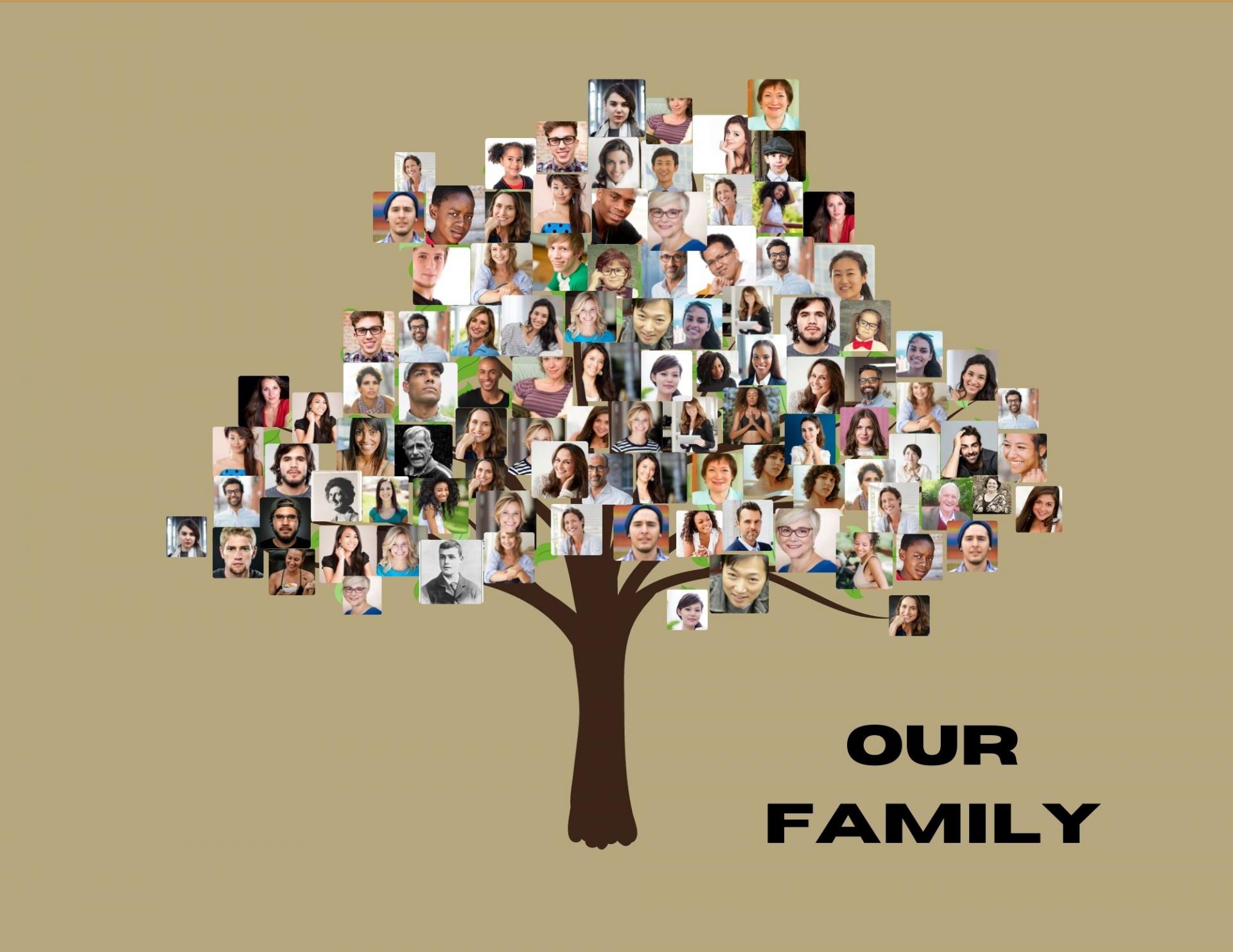 Trees and Charts Collection A DL