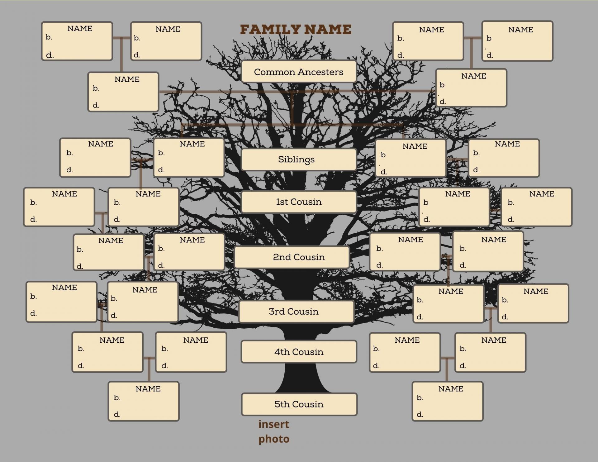 Trees and Charts Collection A DL