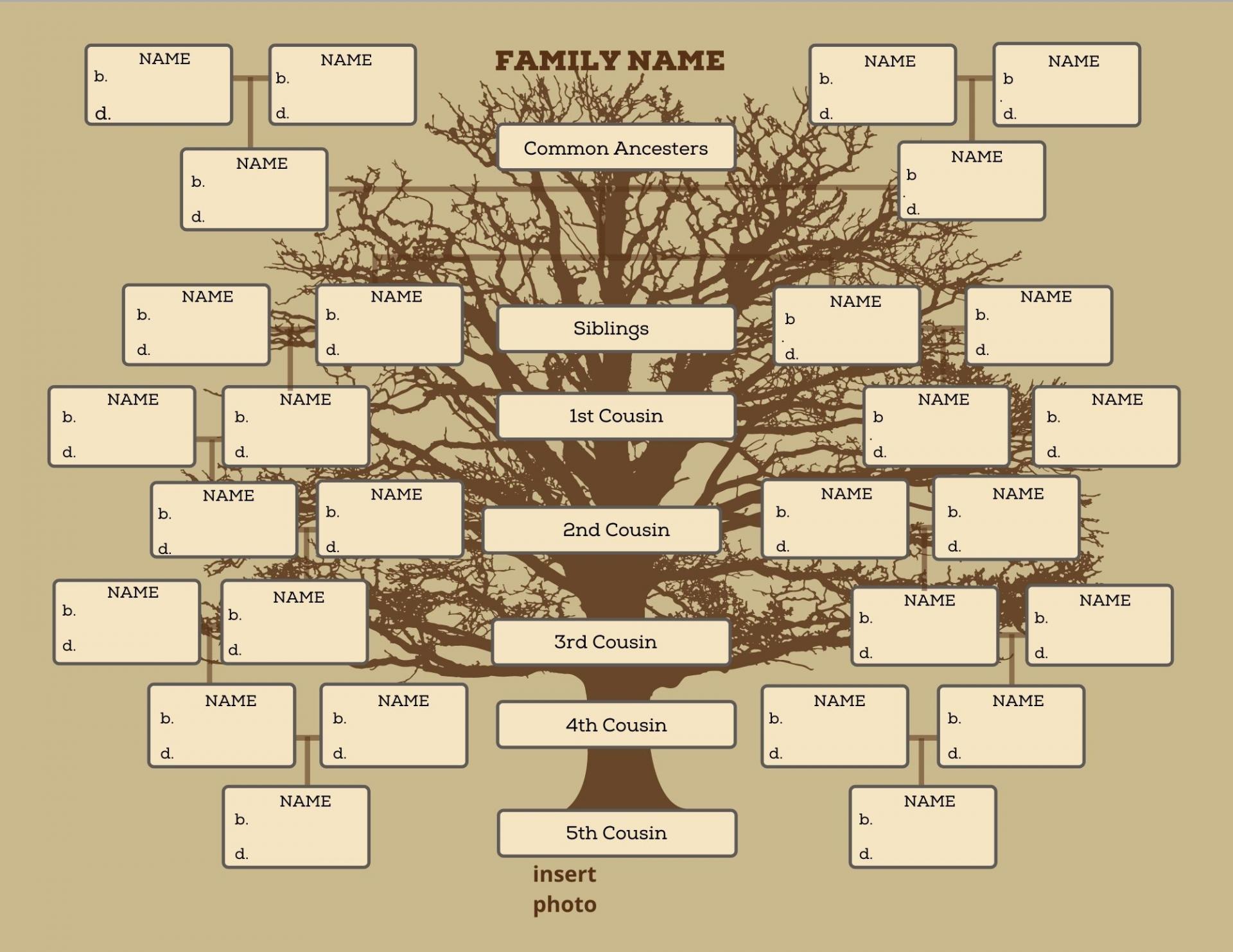 Trees and Charts Collection A DL