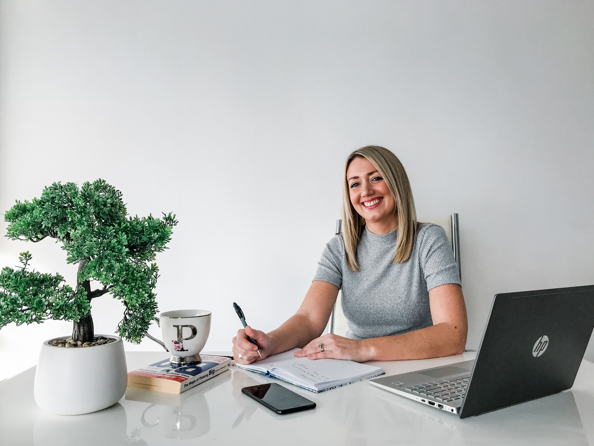 Pamela Langan - Queen of Careers