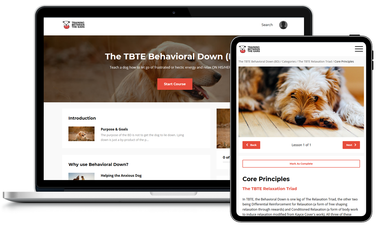 TBTE℠ - FREE Mini-Course