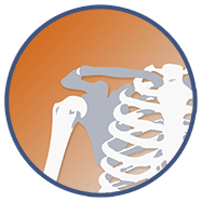 Shoulder Rehab Plan